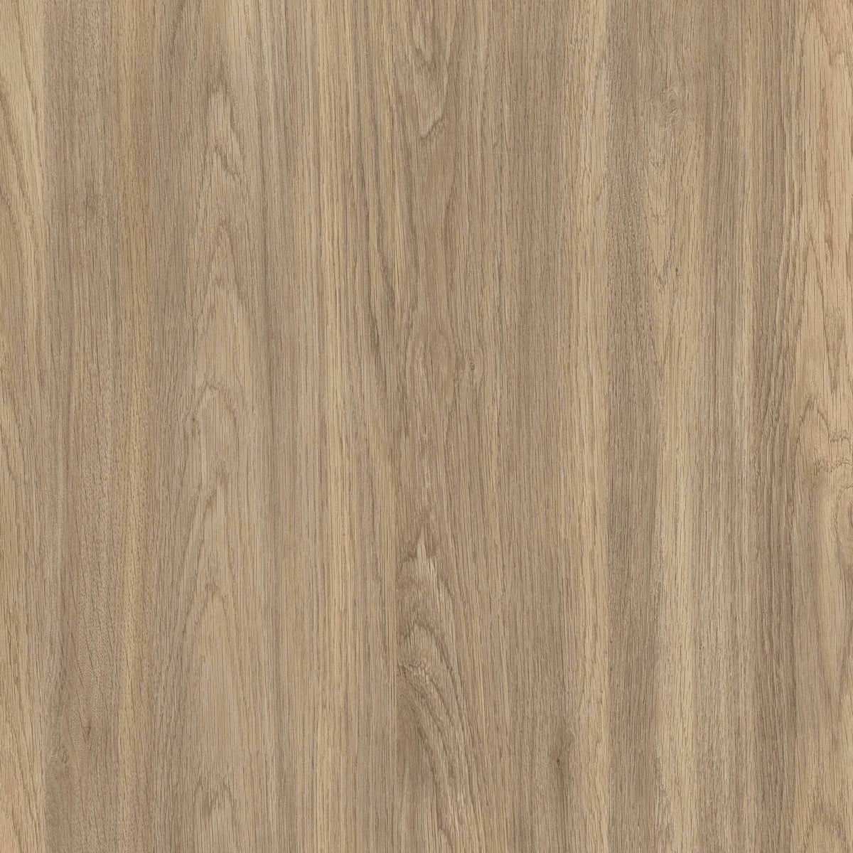 PoliLam Phenolic Core Compact - Missouri Oak | We Create Surfaces