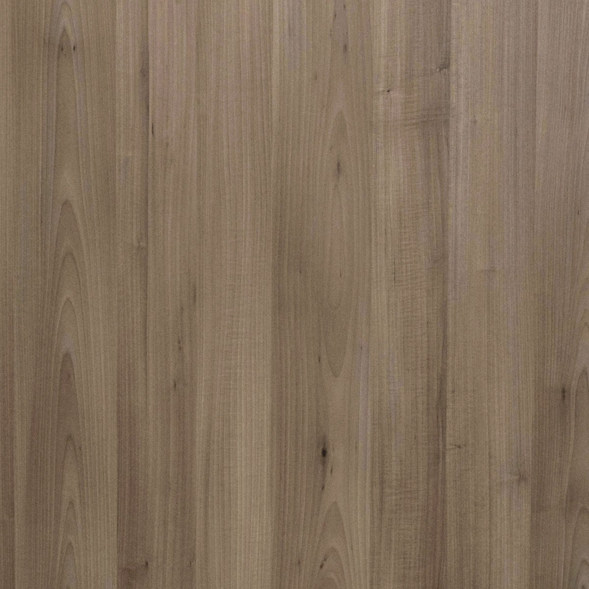 PoliLam Phenolic Core Compact - Linden Livido | We Create Surfaces