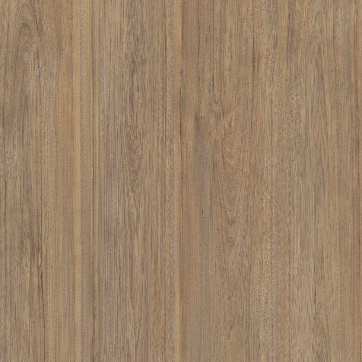 PoliLam HPL - Sublime Walnut | We Create Surfaces